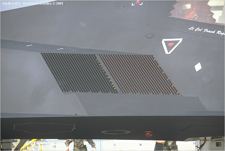 Aviation Images - F-117 Walkaround